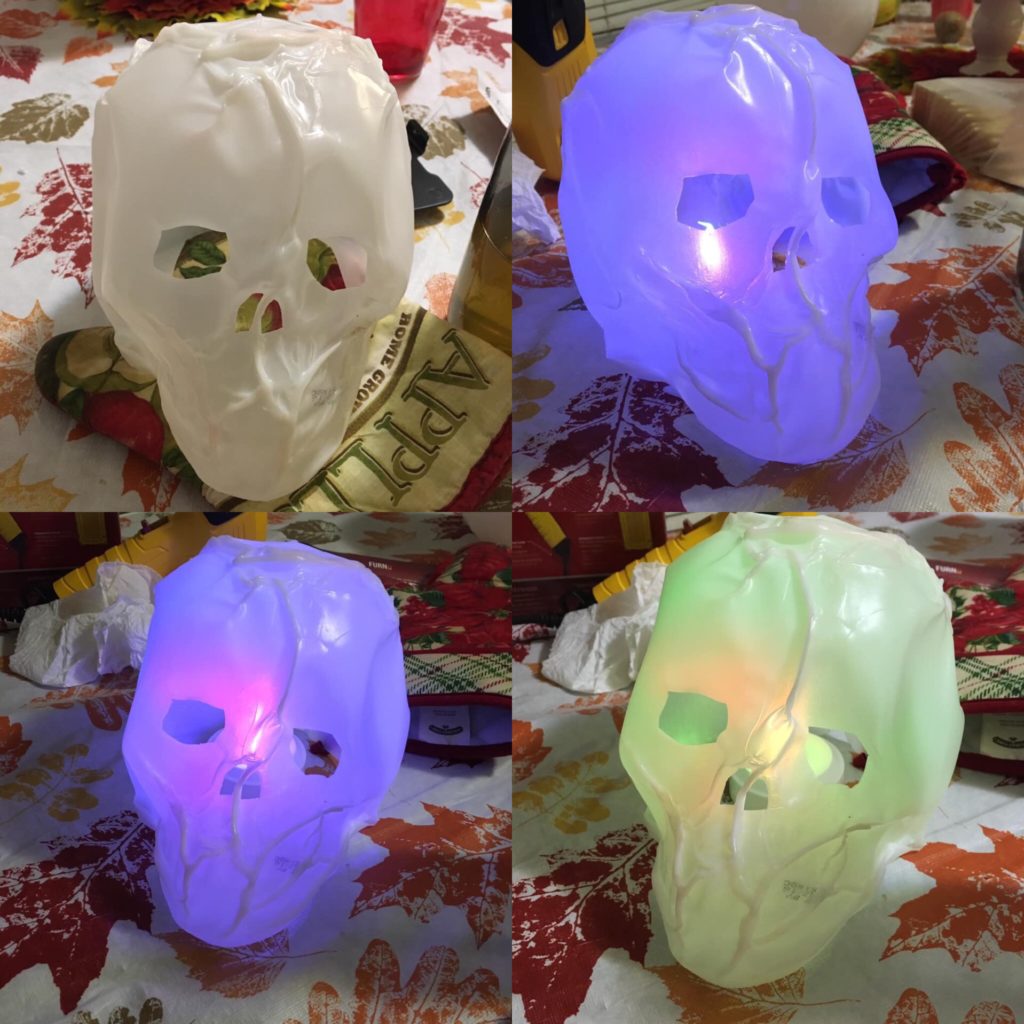 Milk Jug Skulls – THE ECHO